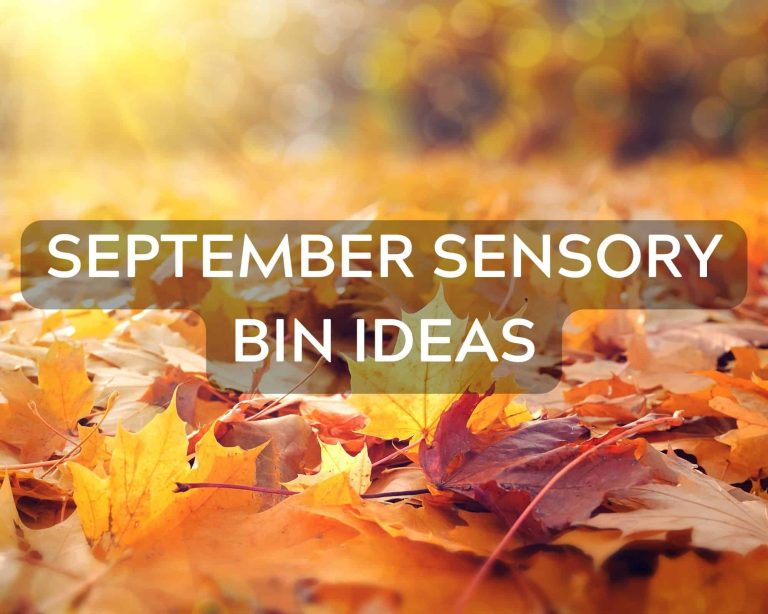 September Sensory Bin Ideas | The Toddler Life